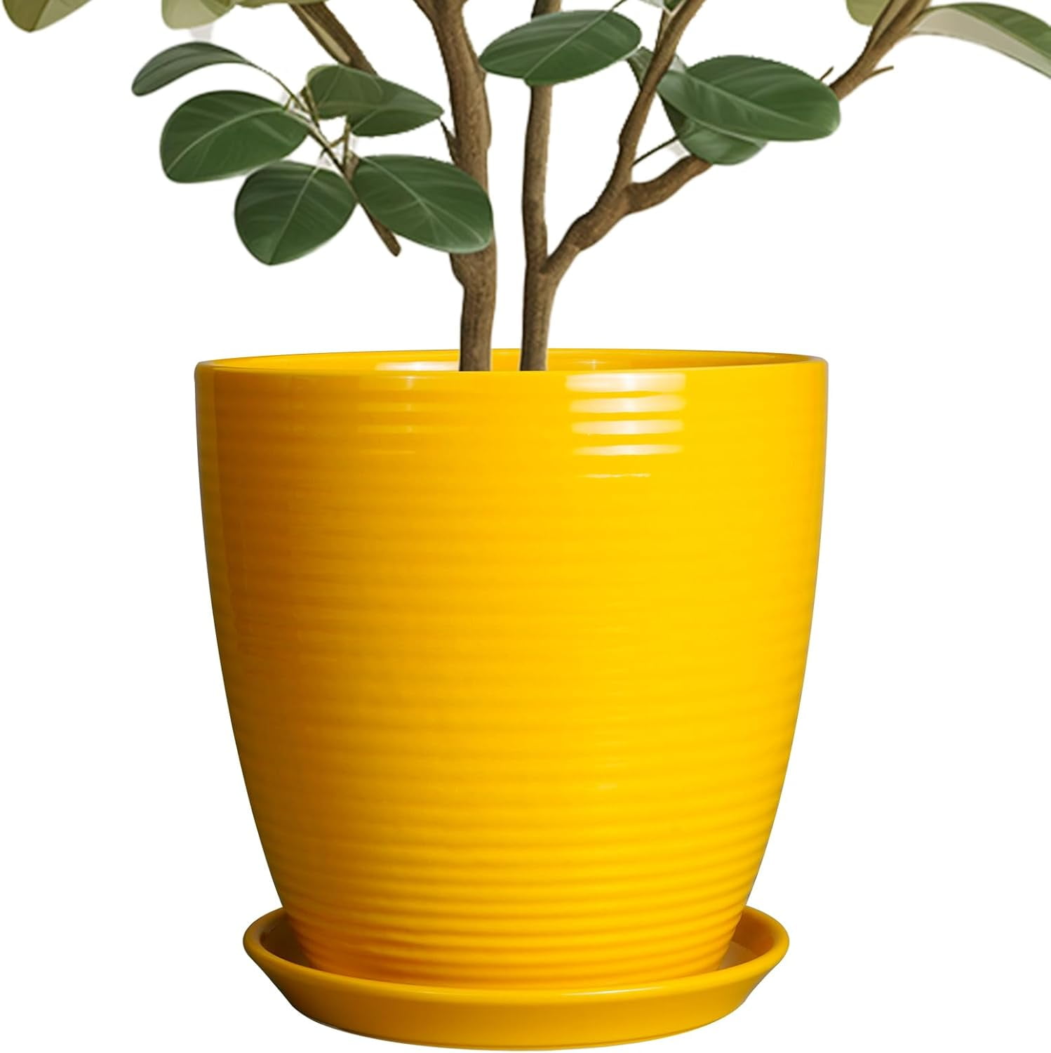 10 Inch Plant Pot - Ceramic Pot for Plants Outdoor Planter for Indoor ...