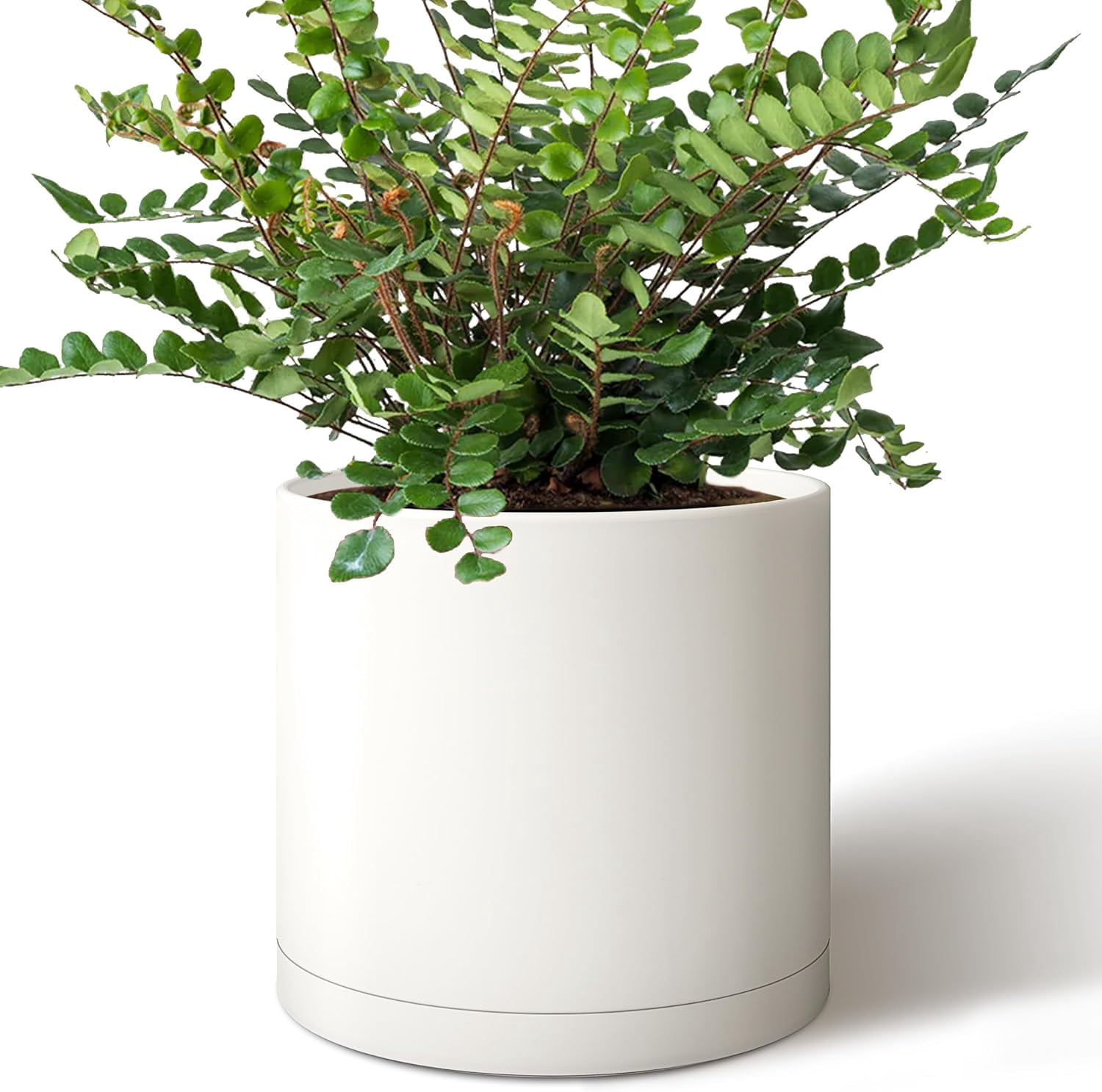 10-Inch Round Cylinder Plant Pot, Modern Indoor/Outdoor Planter with ...