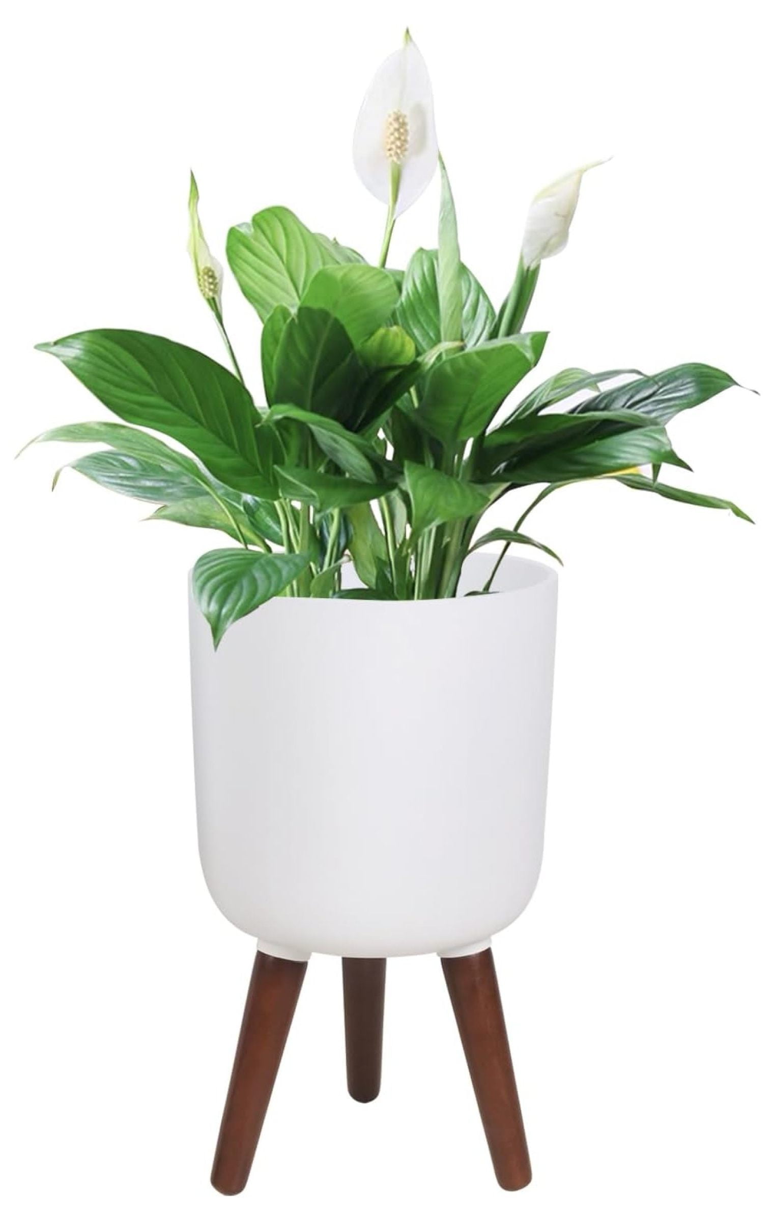 10 Inches Plant Pot with Stand, Large Century Standing Planters with ...
