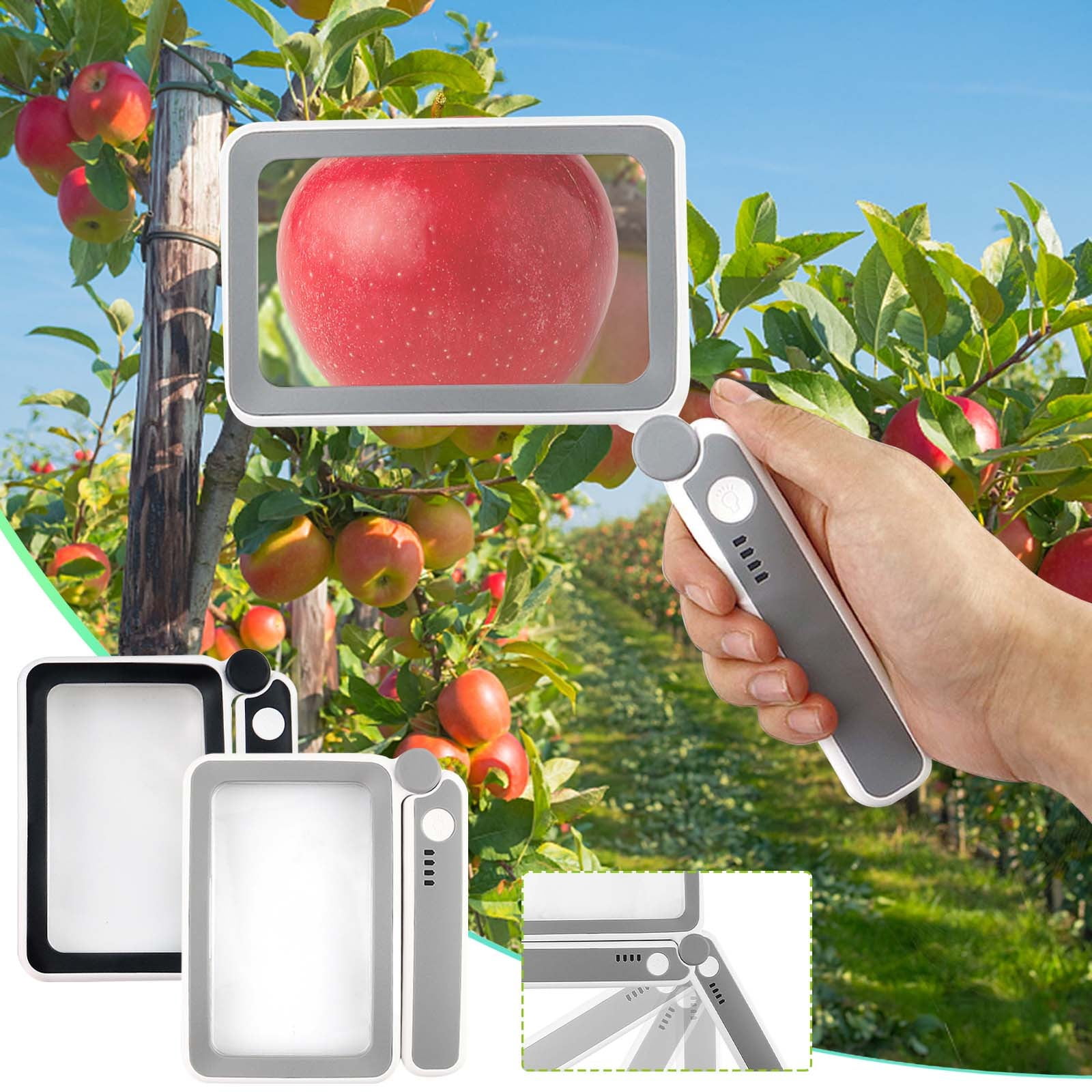 10-LED Magnifier, USB Powered, Foldable Handheld, Elderly Reading Aid ...