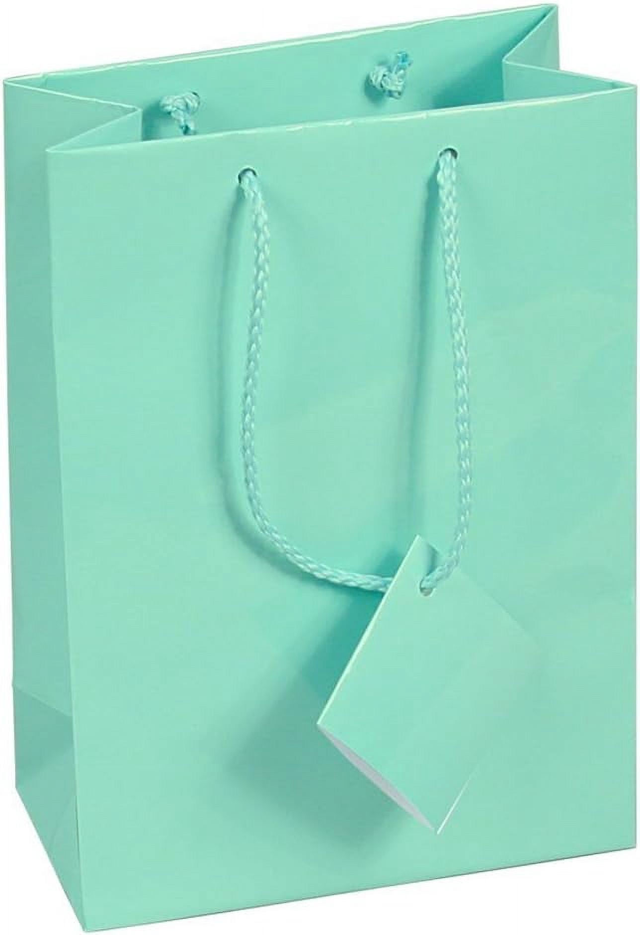 10 Medium Fancy Robin's Egg Blue Glossy Finish Shopping Paper Gift ...