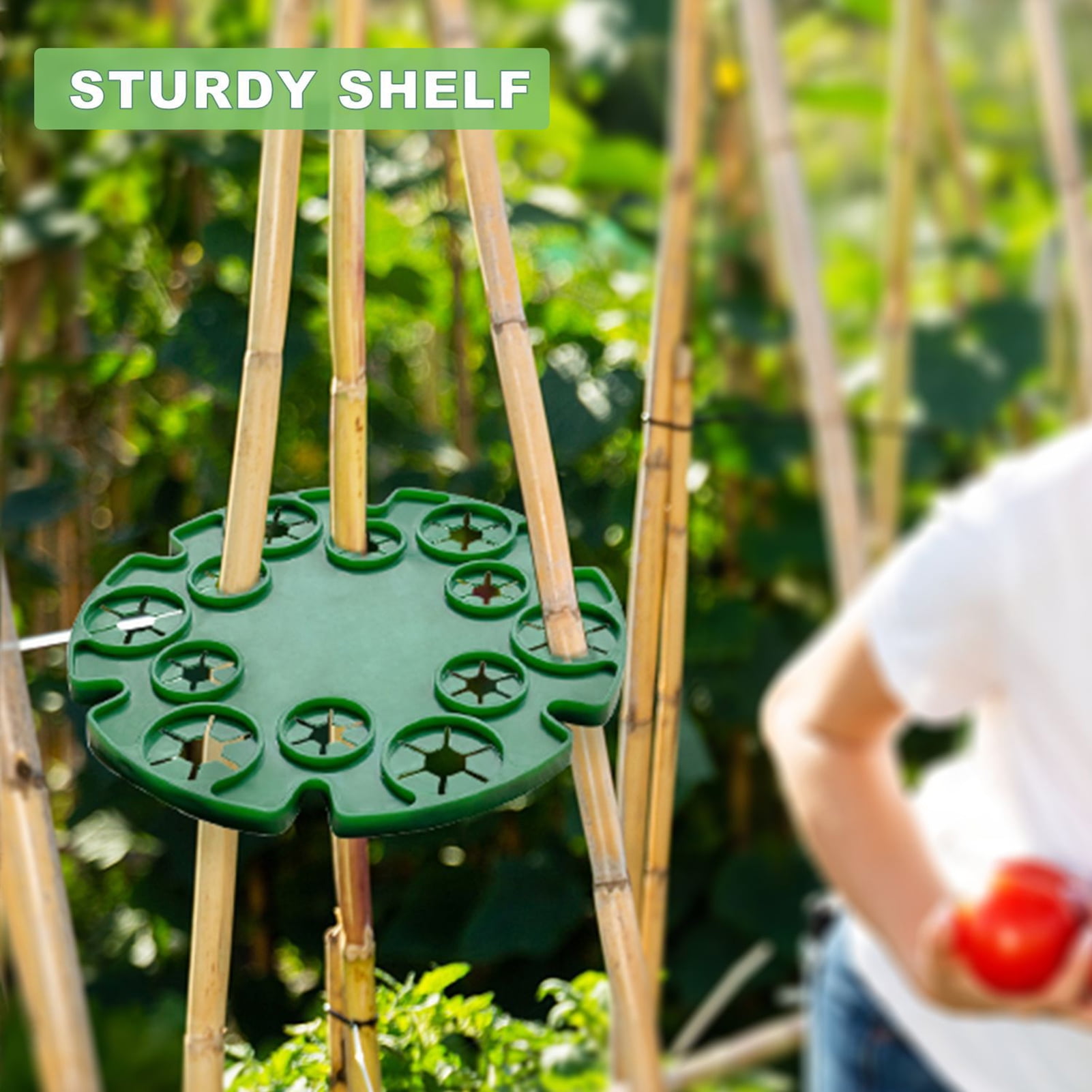 10 Mini Vine Plant Stem Support Holders – Protective Fixing Trellis ...