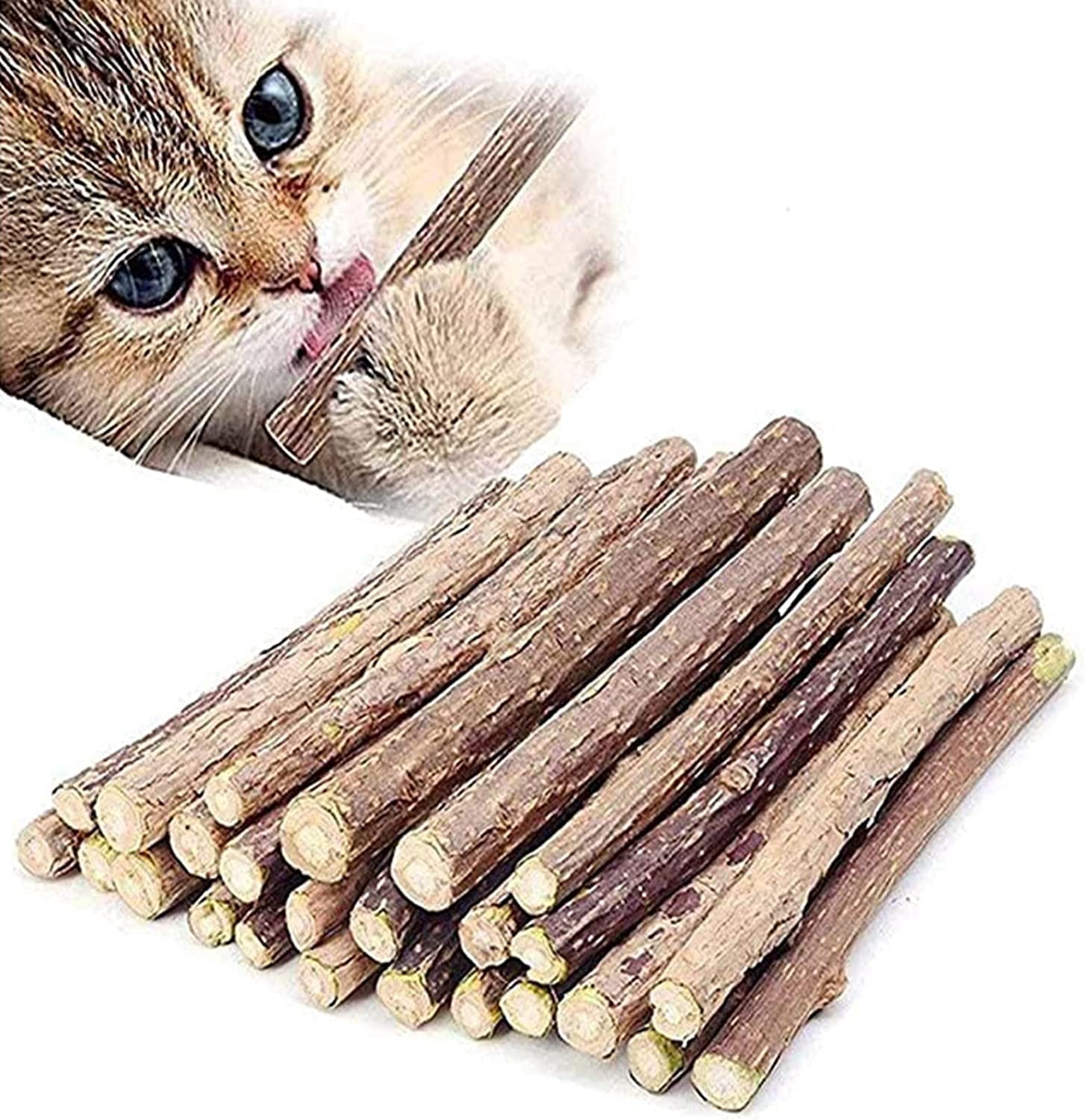 10 PCS Catnip Sticks Organic Cat Chew Toys Natural Plant Matatabi ...