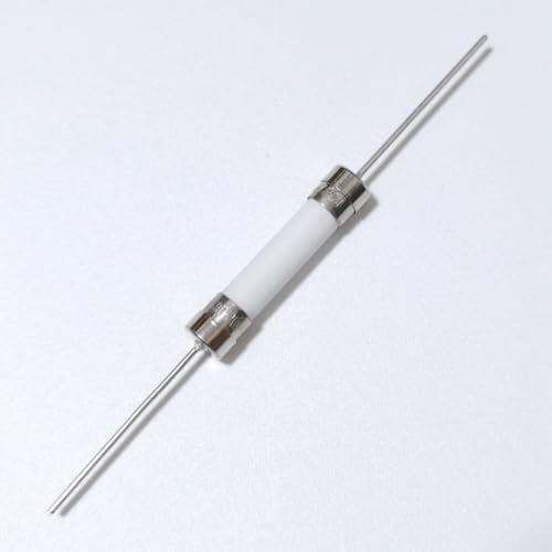 10 PCS Ceramic Axial Lead Fuse 30A250V 6.35x32mm/0.25"x1.26" Time-Lag ...