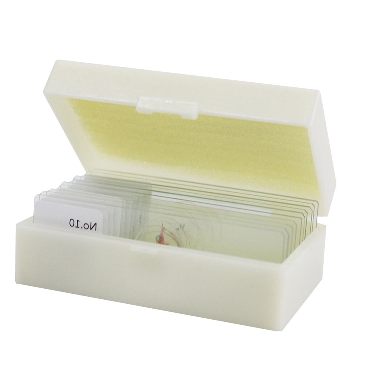 10 PCS/Set Microscope Slides Sample Specimens Microscope Animal Slides ...