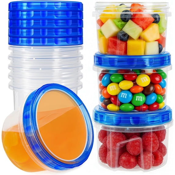 10 Pack 17oz Reusable Freezer Storage Containers with Twist Top Lids ...