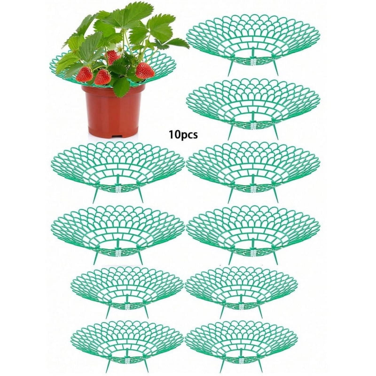 10-Pack 3D Strawberry Cultivation Racks – Hydroponic Planting Stands ...