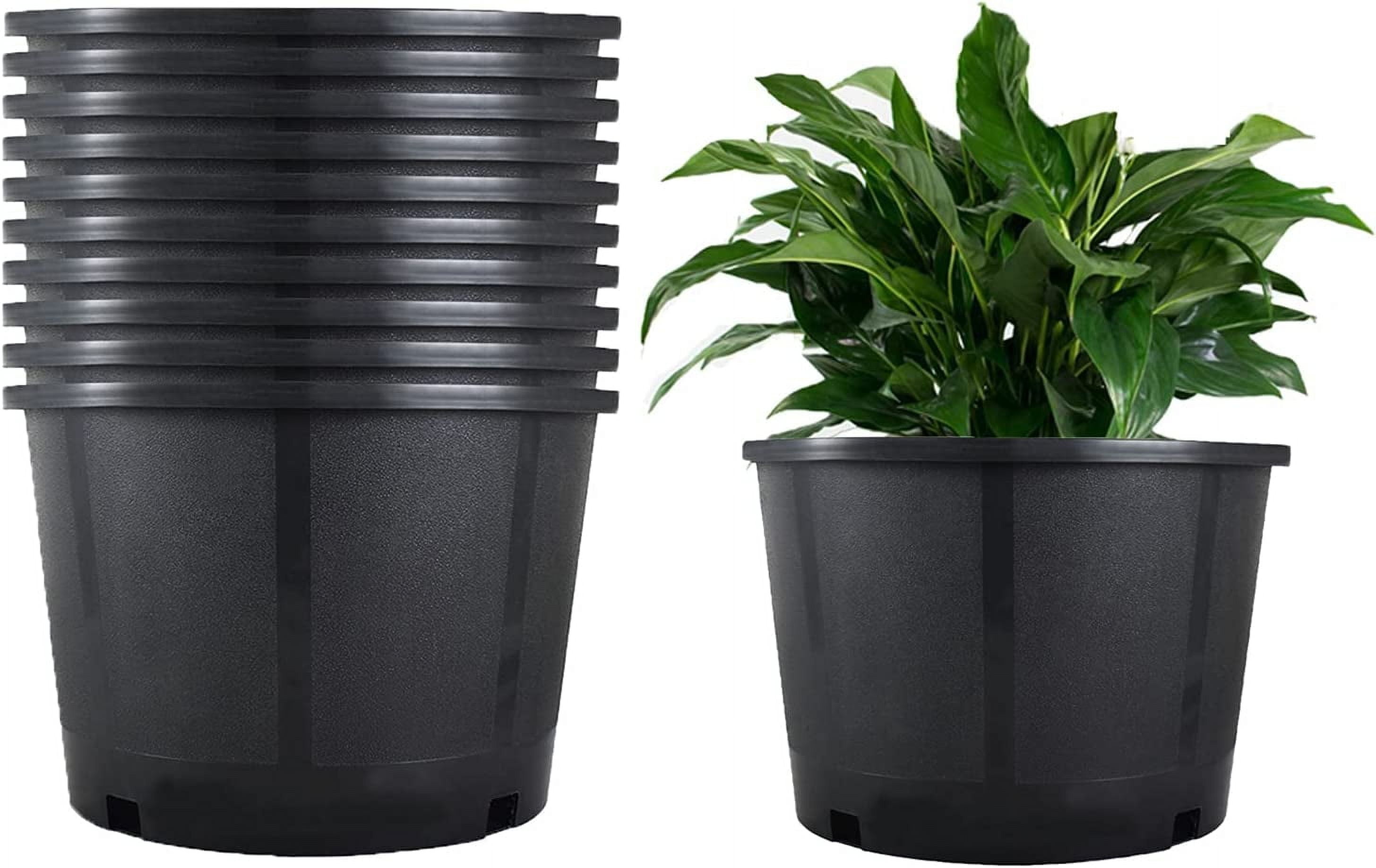 10-Pack 5 Gallon Squat Premium Black Nursery Pot Container Garden ...