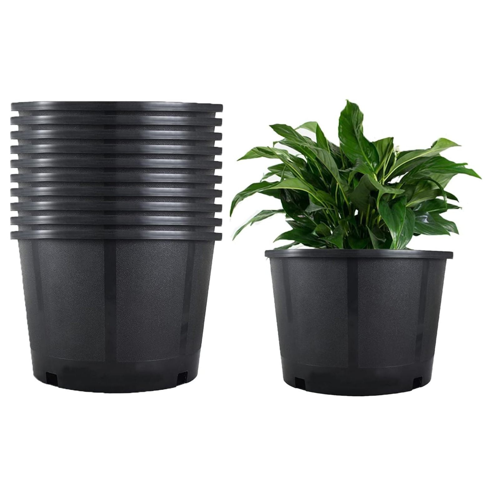 10-Pack 5 Gallon Squat Premium Black Nursery Pot Plant Container Garden ...