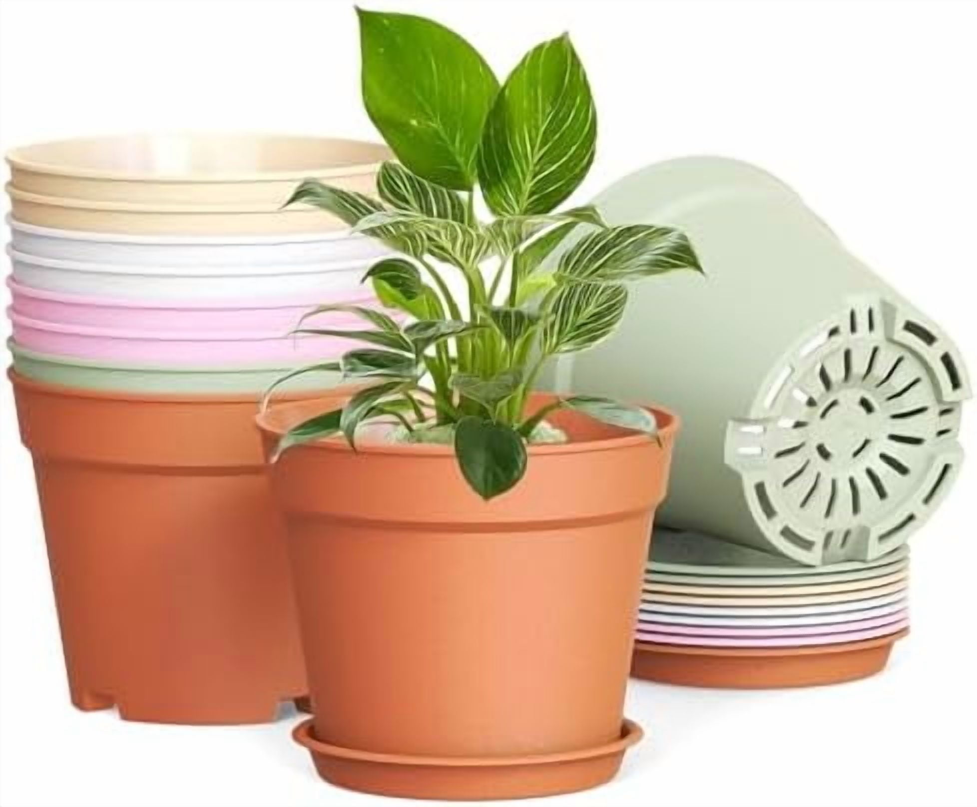 6 Inch Plant Pots