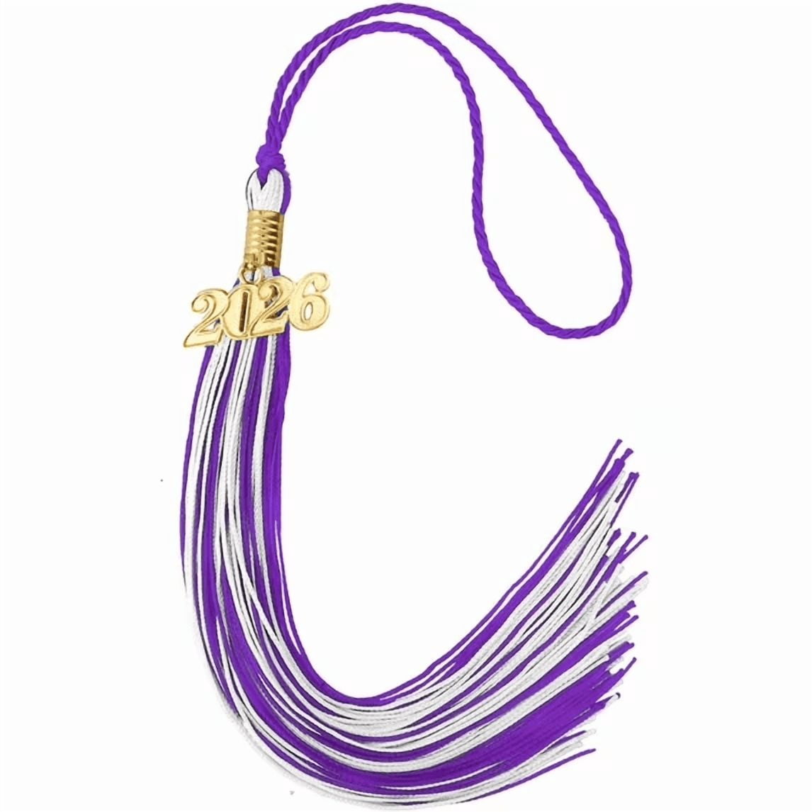 10-Pack Academic Graduation Tassels 2026, Handmade Cap Pendant with ...
