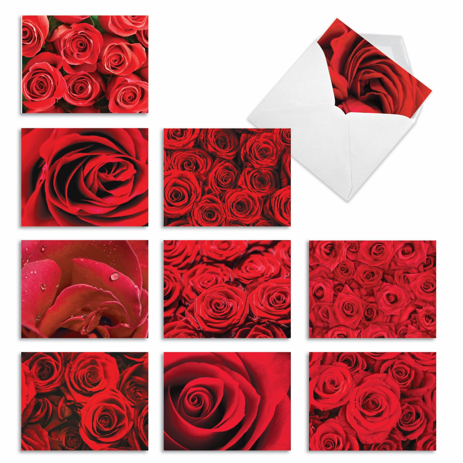 10 Pack All Occasion Blank Note Cards With Envelopes - Roses Are Red ...