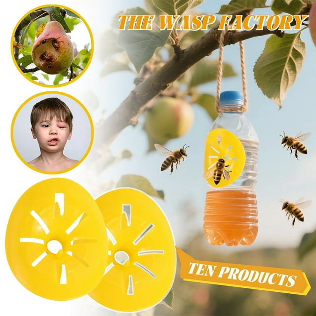 10 Pack Bee Trap – Reusable Flower-Shaped Flying Insect Funnel Traps ...