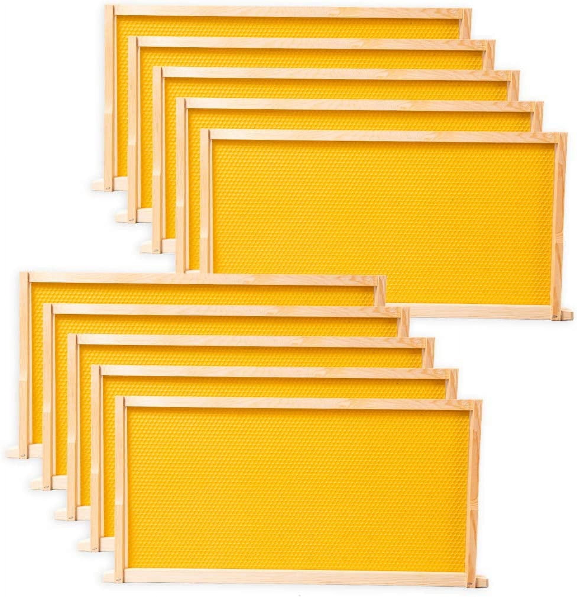 10 Pack Beehive Frames and Wax Foundations for Deep Brood Bee Hives ...