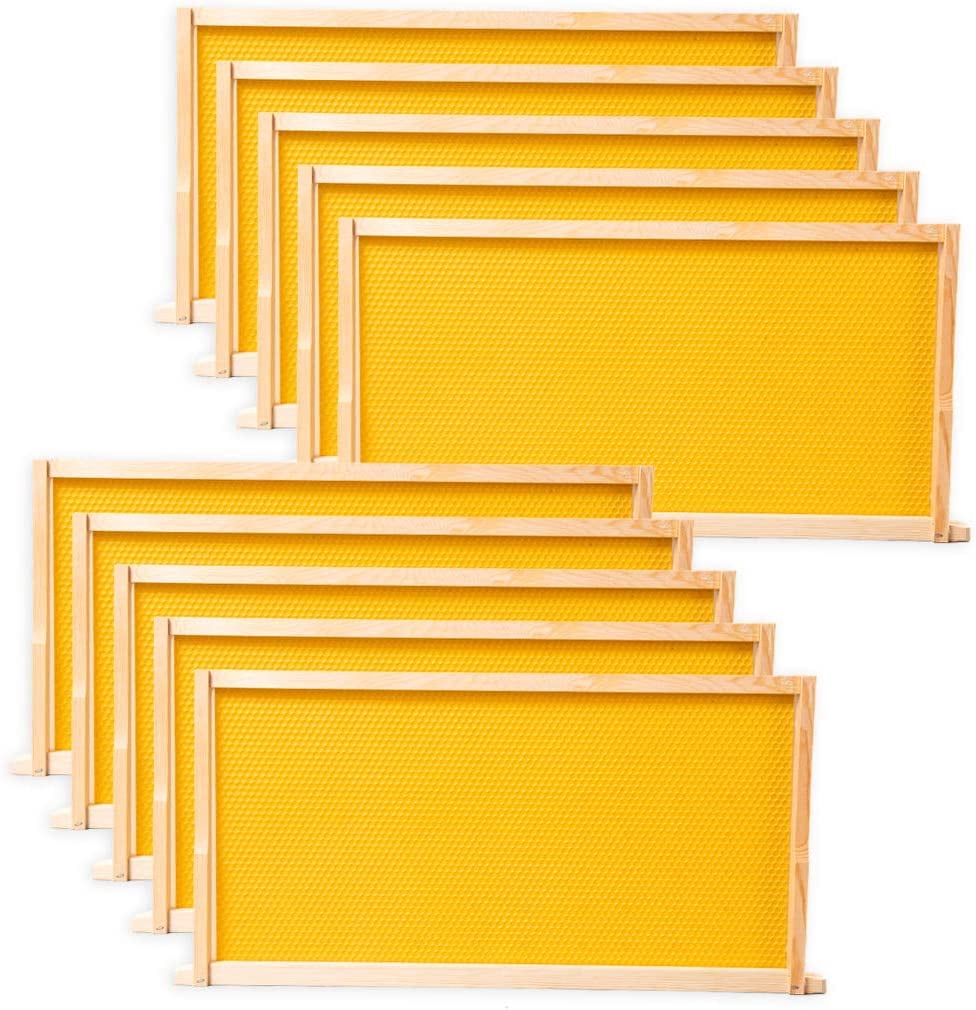 The 10 Pack Beehive Frames and Wax Foundations for Deep Brood Bee Hives ...