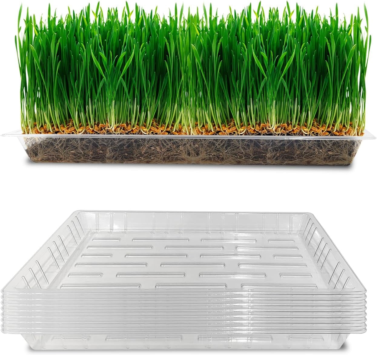 10 Pack Clear Seed Starter Trays, 13.7x10.6 Inches - Durable, Reusable ...