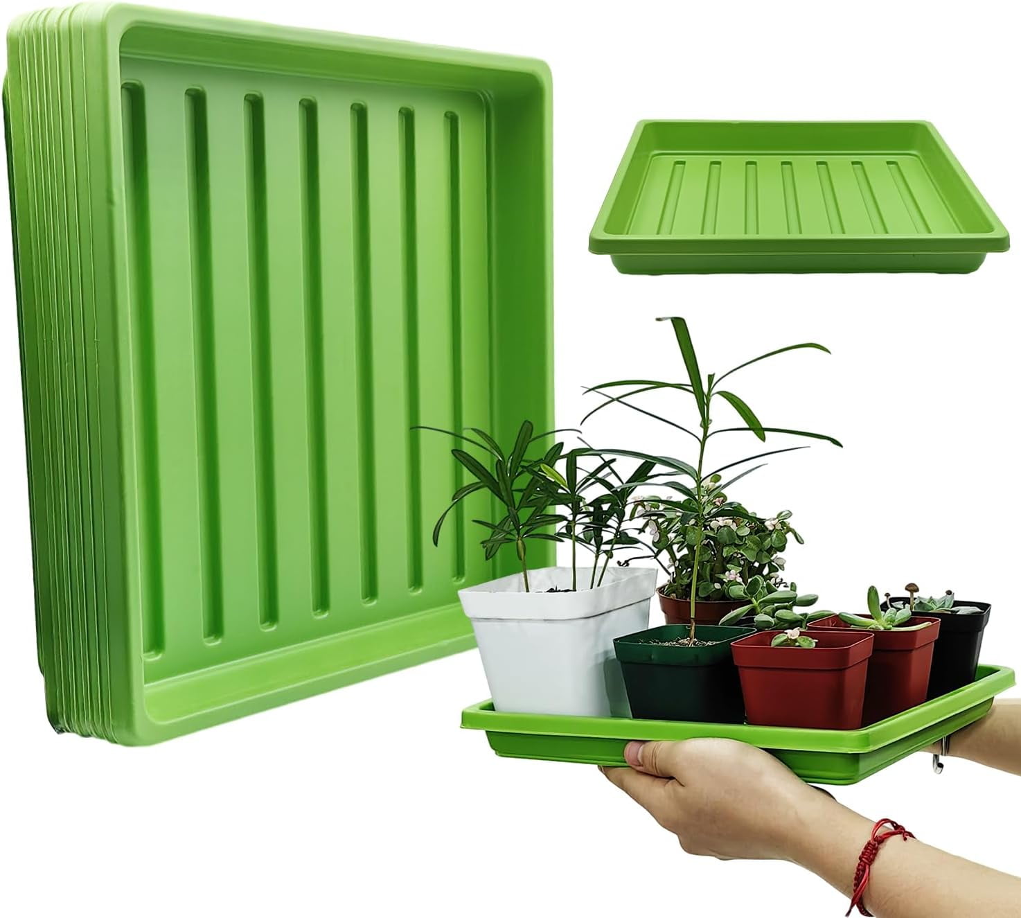 10-Pack Microgreens Seed Starter Grow Trays for Seedlings, Shallow ...