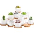 10 Pack Mini Succulent Plant Pots, 2.76 inch Hexagonal White Ceramic ...