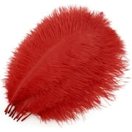 Peacock Feather Picks by Ashland® - Walmart.com
