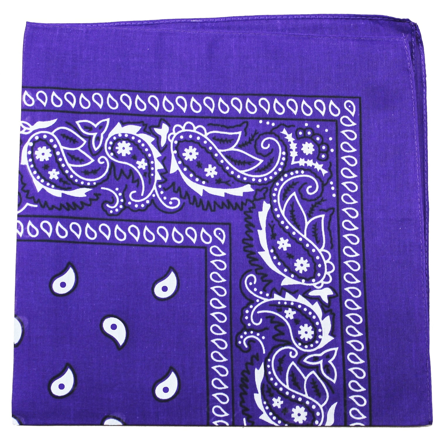 10 Pack Paisley 100% Cotton Double Sided Bandana, 22 inches (Purple ...