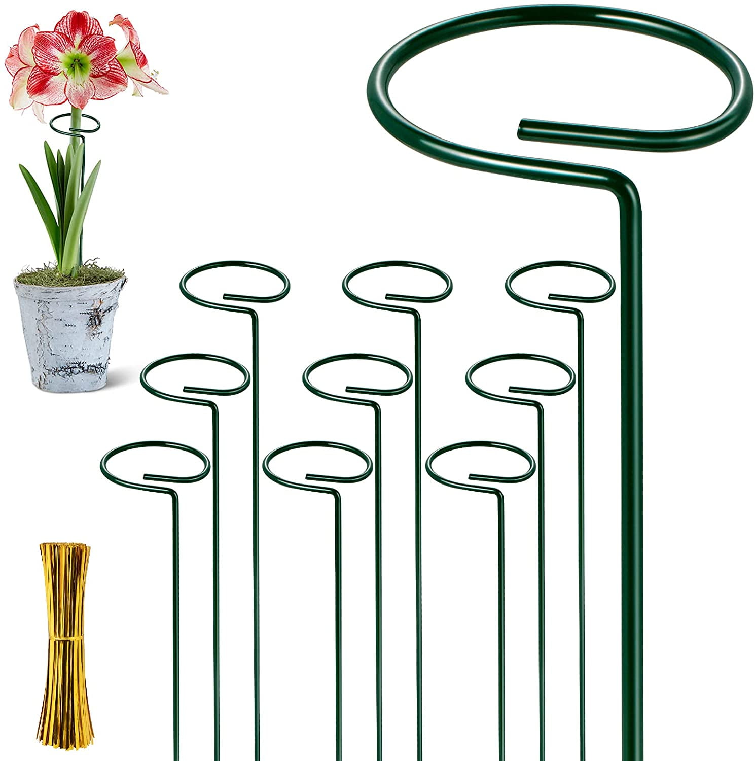 10 Pack Plant Stakes 16"/40cm Metal Plant Support Stakes, Sturdy Garden ...