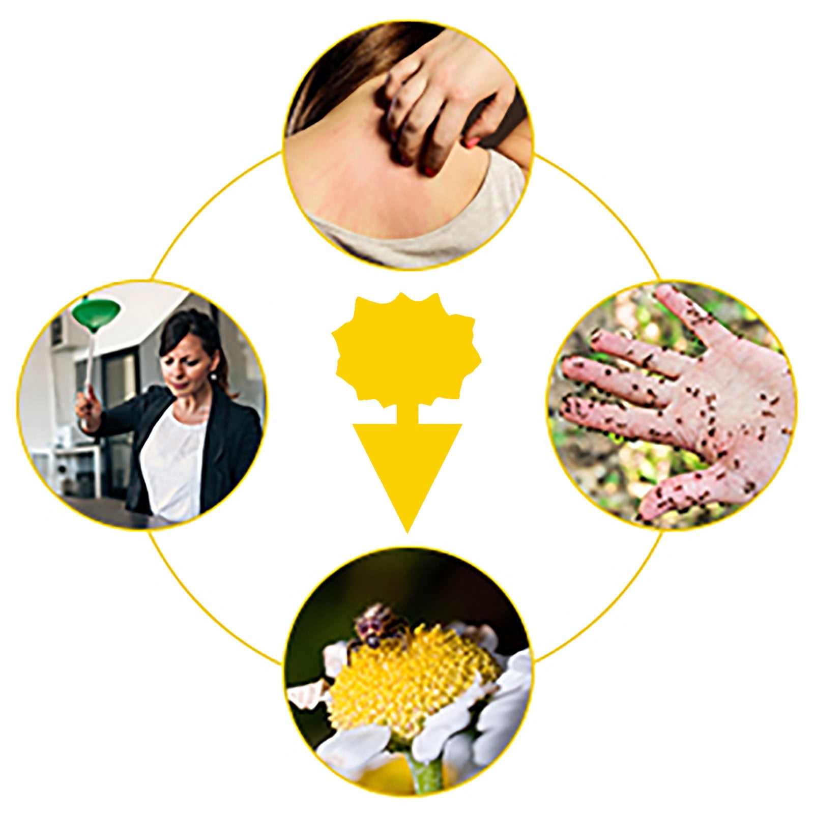 10-Pack Plant Sticky Traps Effectively Capture Indoor And Outdoor Pests ...