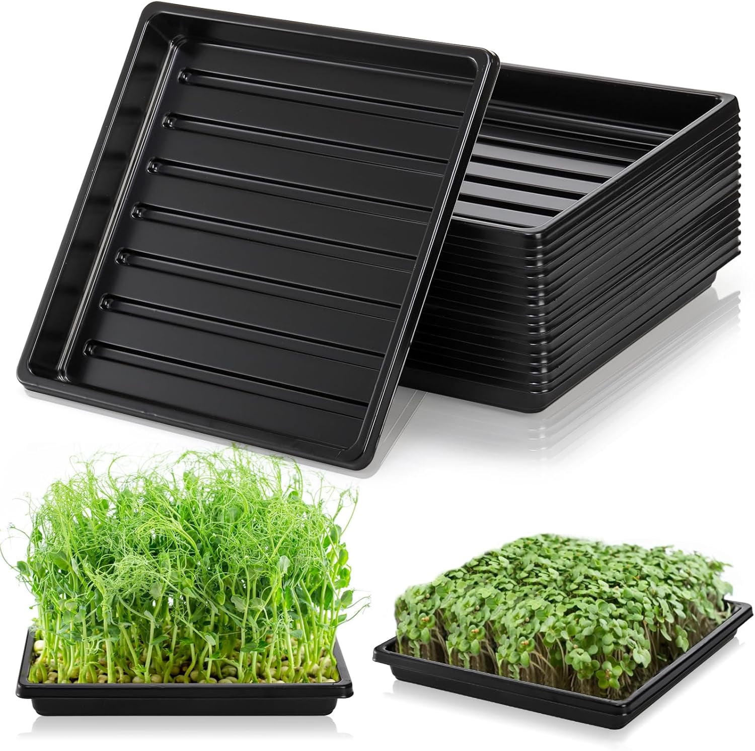 10 Pack Plastic Growing Trays, 10.6"x10.6" Garden Plant Growing Flats ...