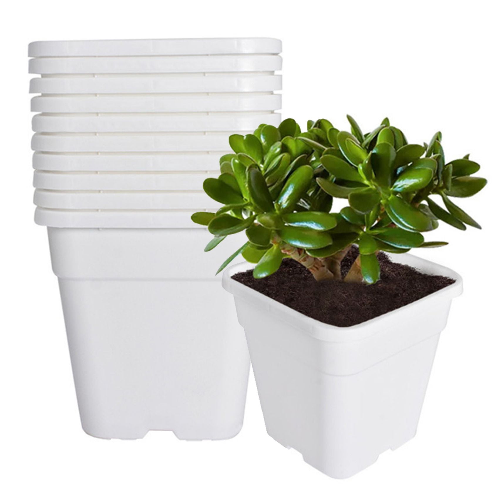 10-Pack Plastic Plant Nursery Pots Square Seedling Planters with ...