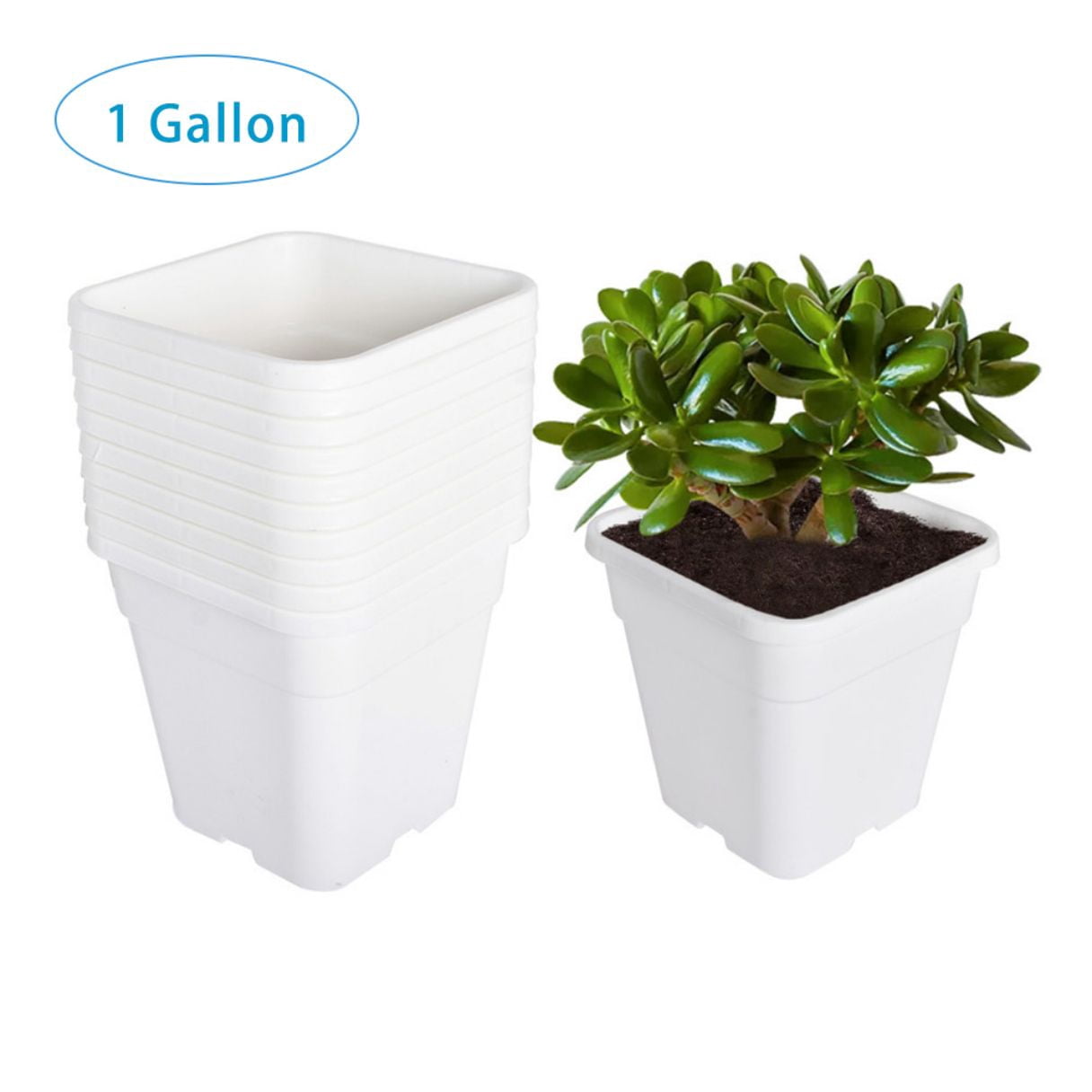 10 Pack Plastic Plant Pots Seedling Cups, 1 Gallon Plant Container ...