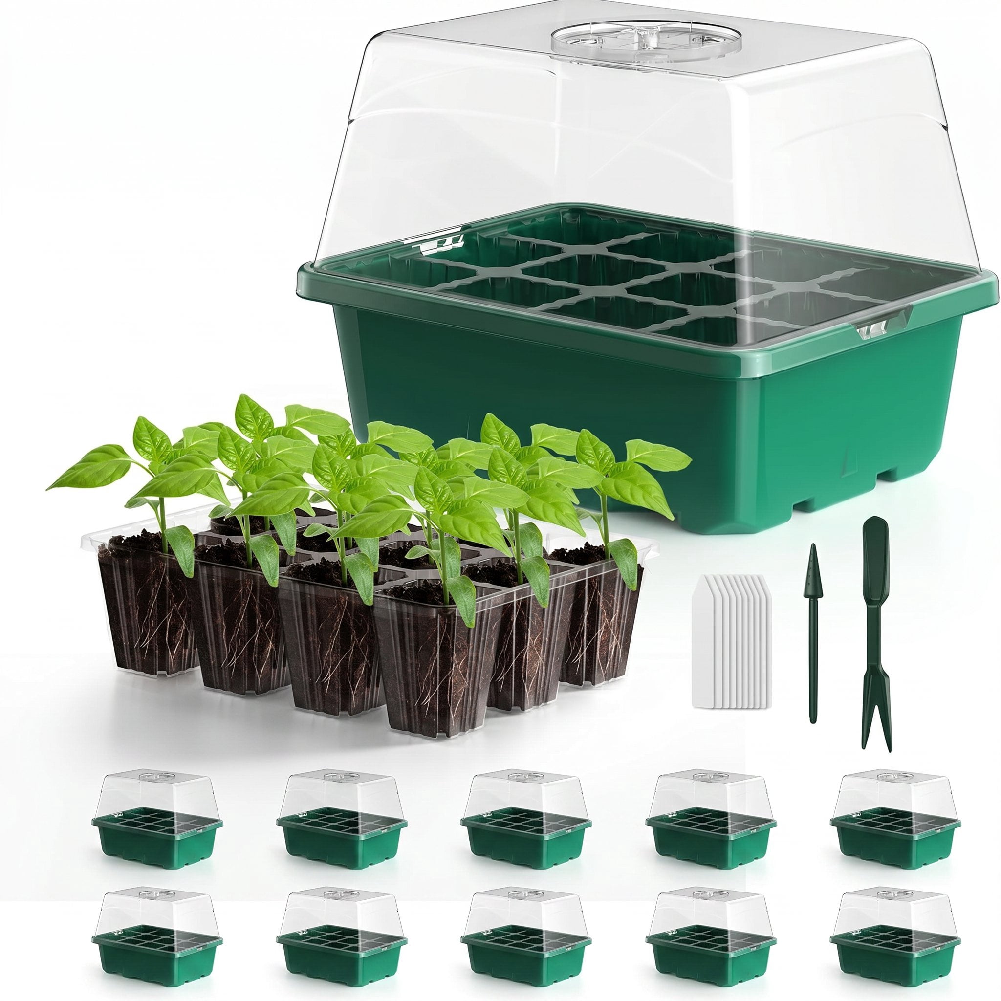 10-Pack Seed Starter Trays with Heightened Lids, 12-Cell Seedling ...
