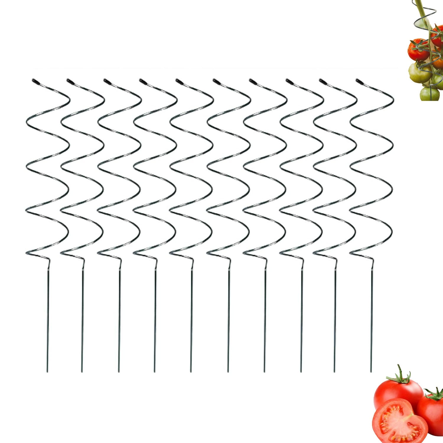 10-Pack Spiral Tomato Stakes for Climbing Plants Heavy Duty Twist Plant ...