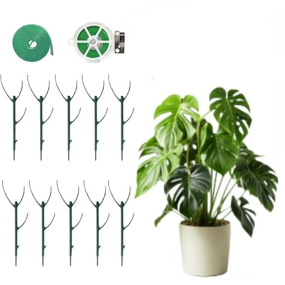 10 Pack Stackable Monstera Plant Support, 2025 New Plant Stakes for ...