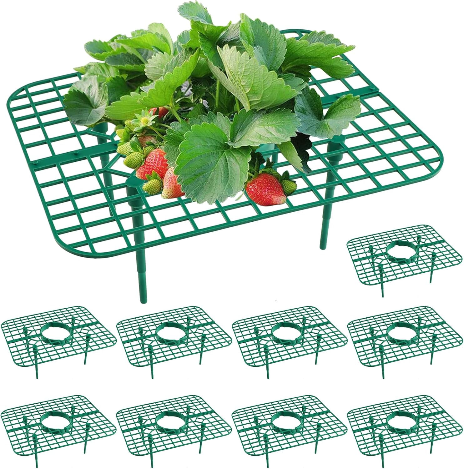 10 Pack Strawberry Plant Support, Strawberry Planting Stand, Keeping ...