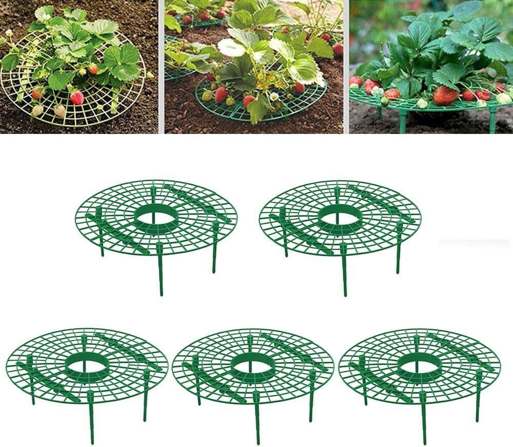 10 Pack Strawberry Plant Supports, Reusable Strawberry Planting Stand ...