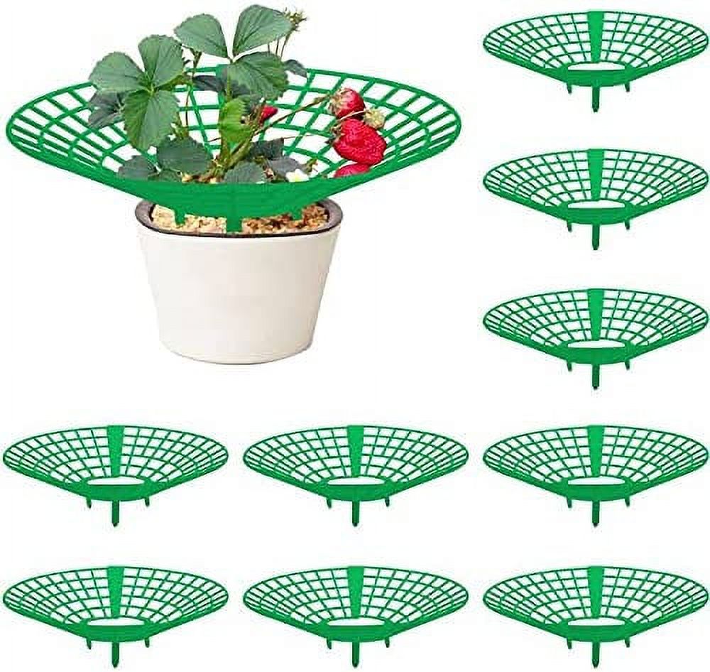 10 Pack Strawberry Plant Supports, Strawberry Plant Stand with 3 Sturdy ...