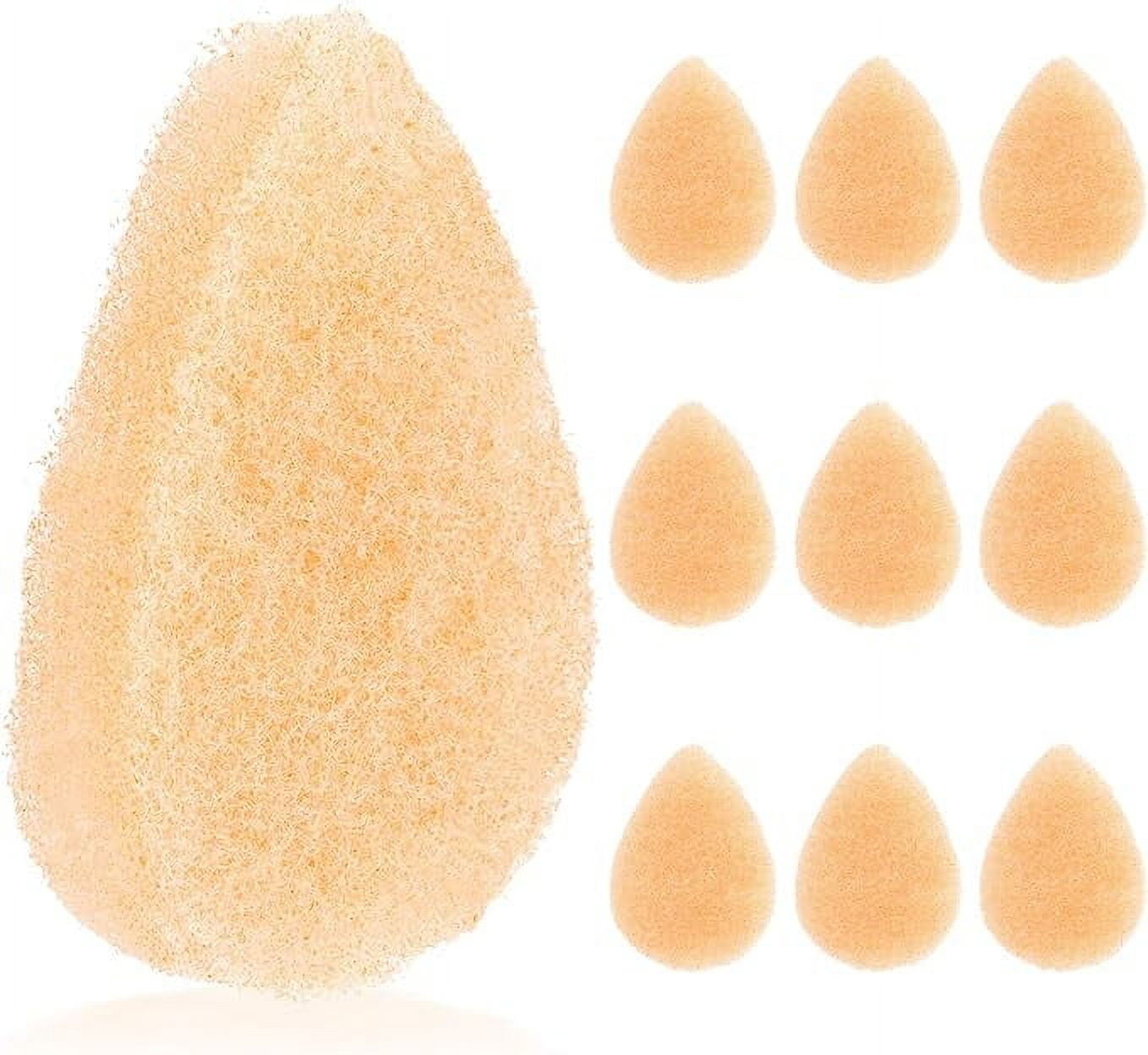 10 Pack - VerdeVida Facial Sponge / Face Scrubber for Daily Deep ...