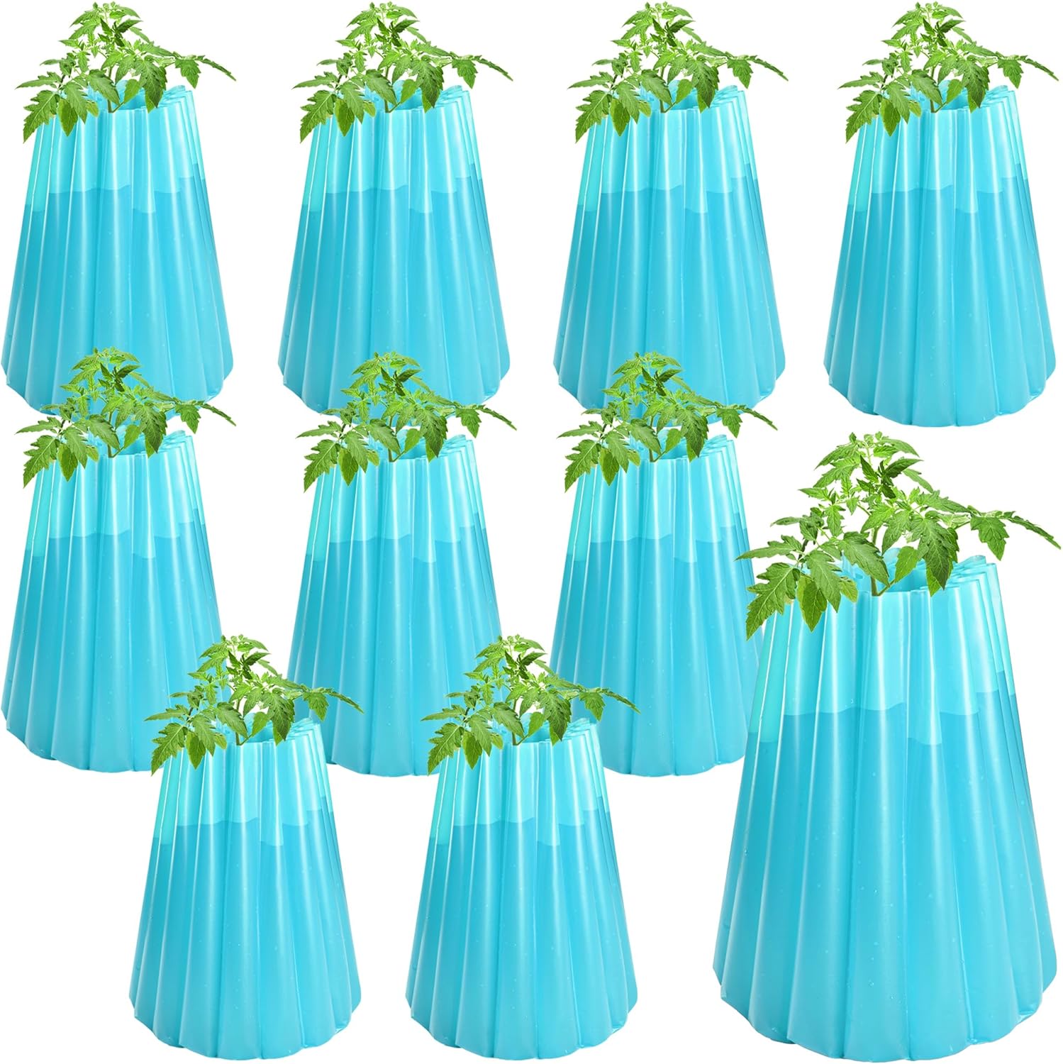 10 Pack Water Filled Plant Protectors-19 x 17 Inch Reusable Wall of ...