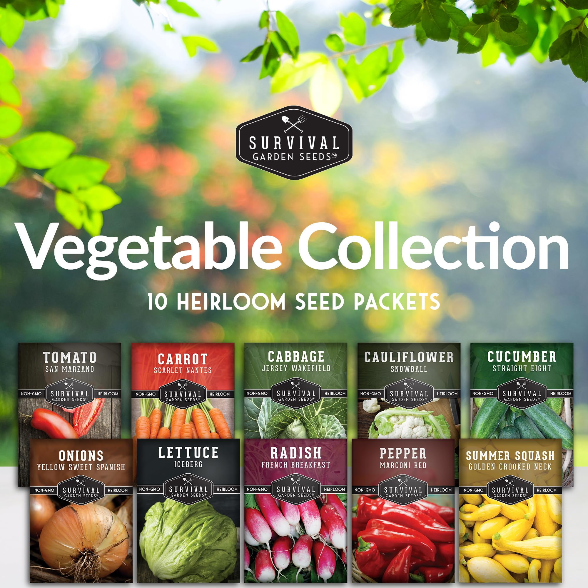 10 Packets Vegetable Seeds for Planting - H2FSDGrow Your Cabbage ...