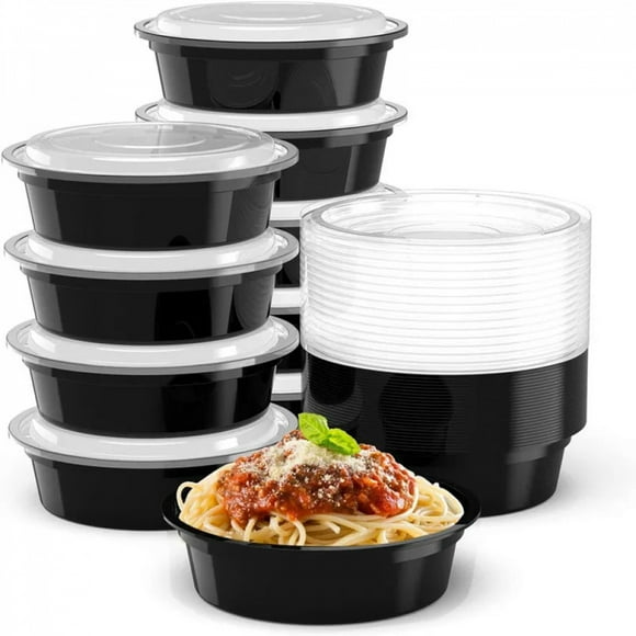 Disposable and Reusable Bento Boxes and Food Storage Containers