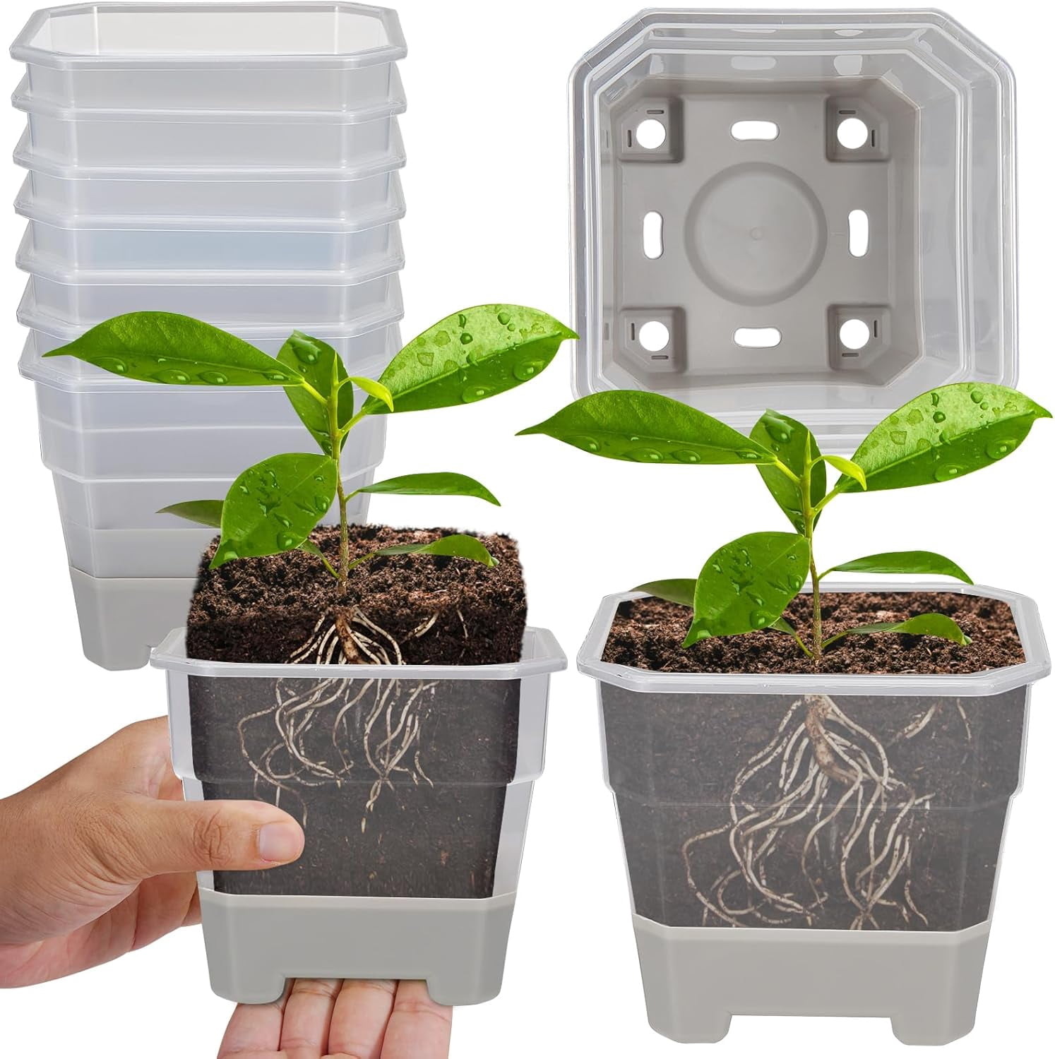 10 Packs 4 Inch Clear Nursery Pots with Reinforced Silicone Base for ...