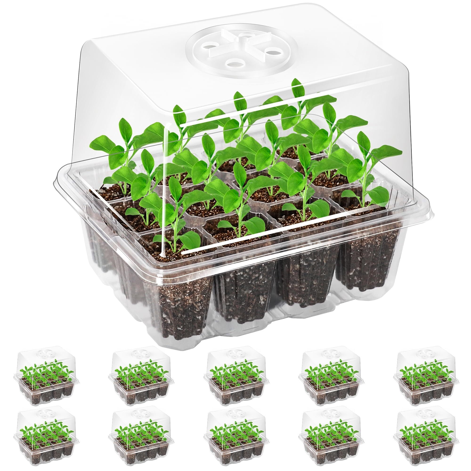 10 Packs Seed Starter Tray with Elevated Lid, 120 Cells Thicken Seed ...