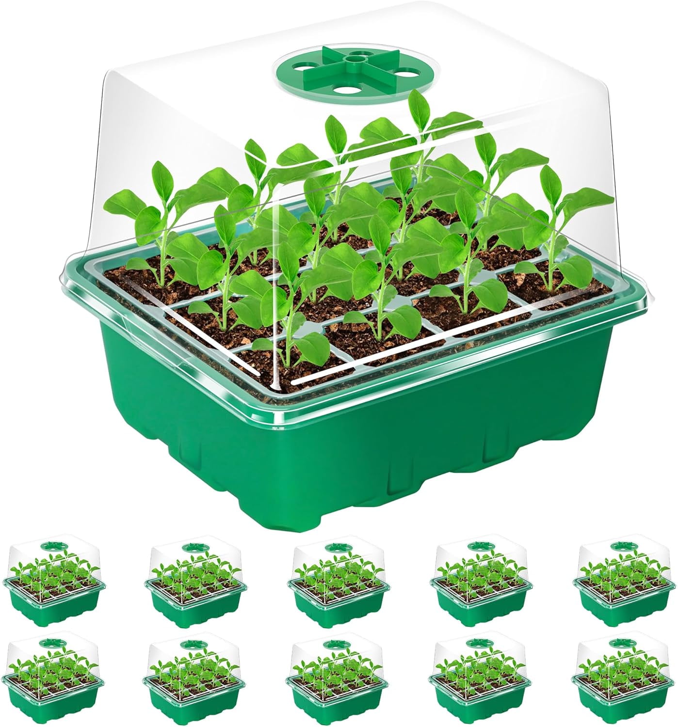 10 Packs Seed Starter Tray with Elevated Lid, 120 Cells Thicken Seed ...