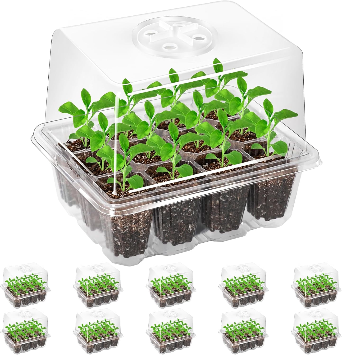 10 Packs Seed Starter Tray with Elevated Lid, 120 Cells Thicken Seed ...