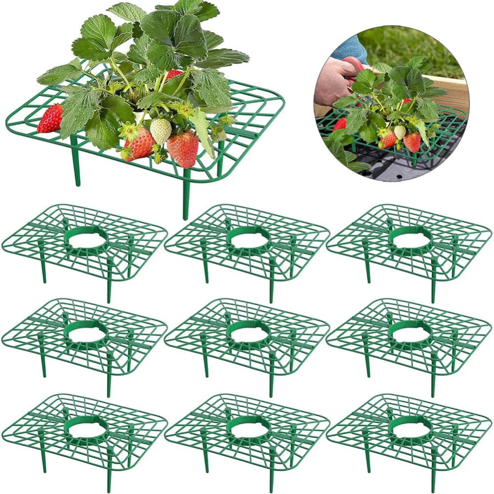 10 Packs Square Strawberry Support Stand Holder Growing Frame Keep ...