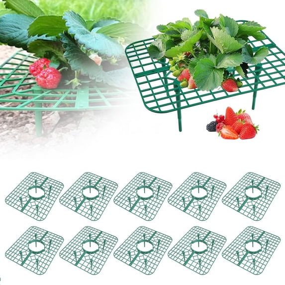 10 Packs Square Strawberry Supports-Strawberry Growing Racks- Plant ...