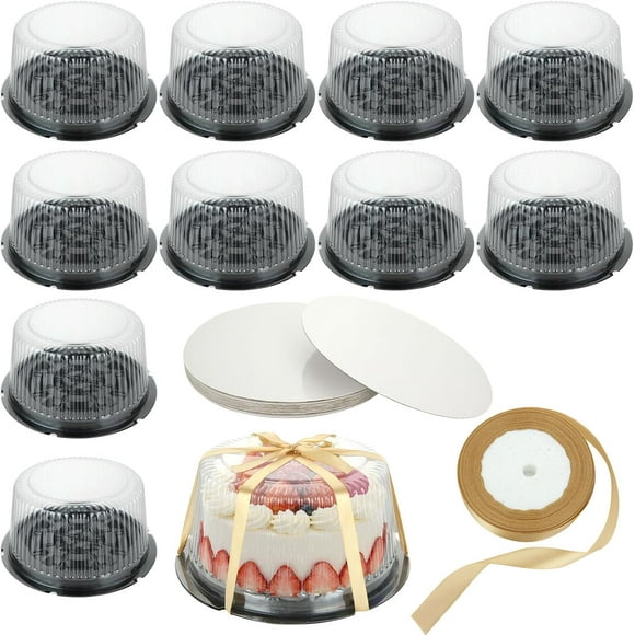 Disposable Cake Carrier