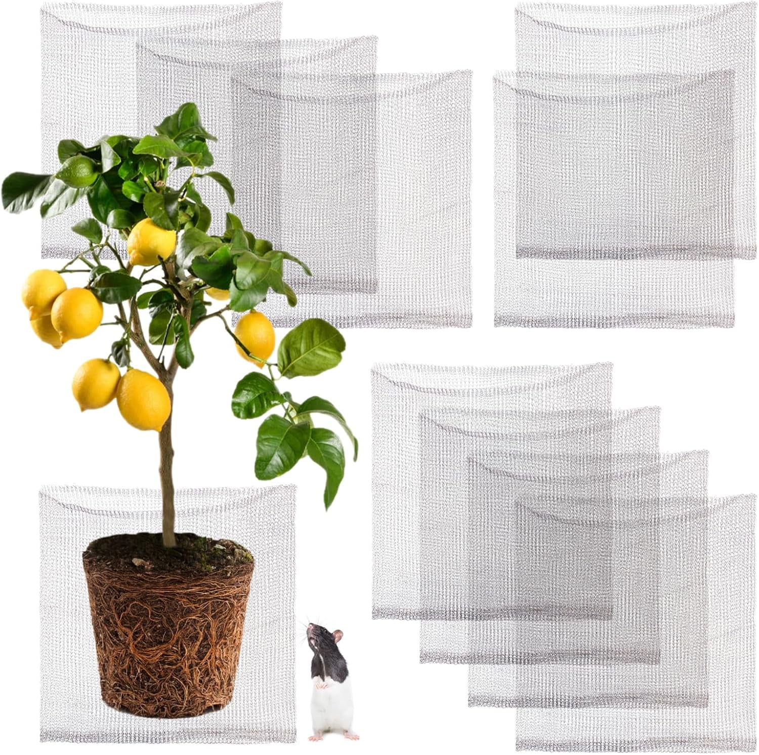 10 Pcs 5 Gallon Root Guard Baskets for Plants, Underground Stainless ...