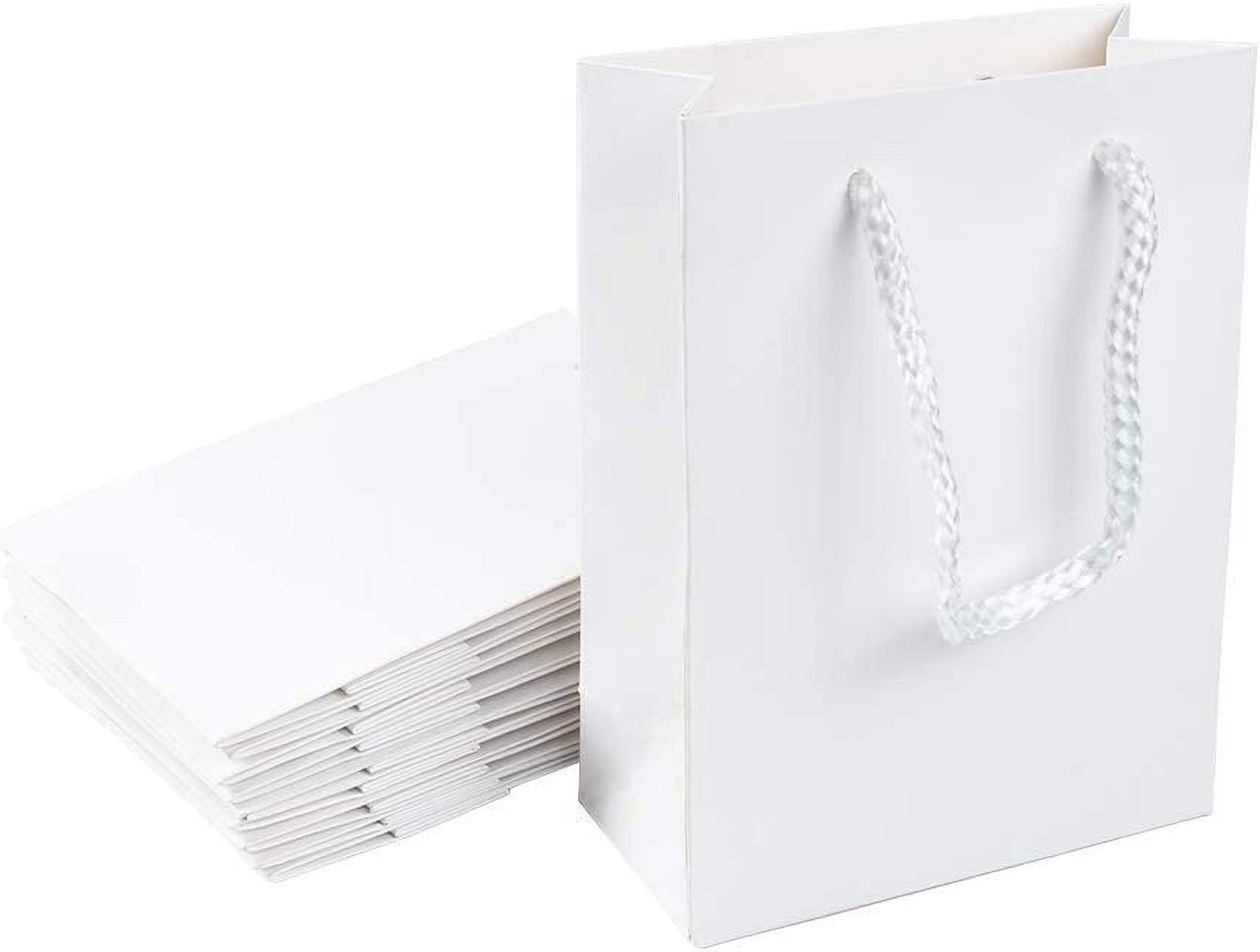10 Pcs Bags with Handles White Carrier Paper Bags with Nylon Cord ...