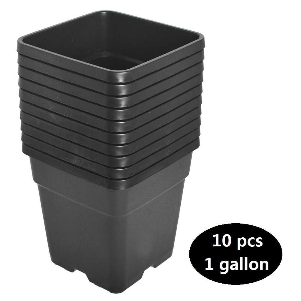 10-Pcs Black 1 Gallon Square Seedling Pots Plastic Plant Pots Seedling ...