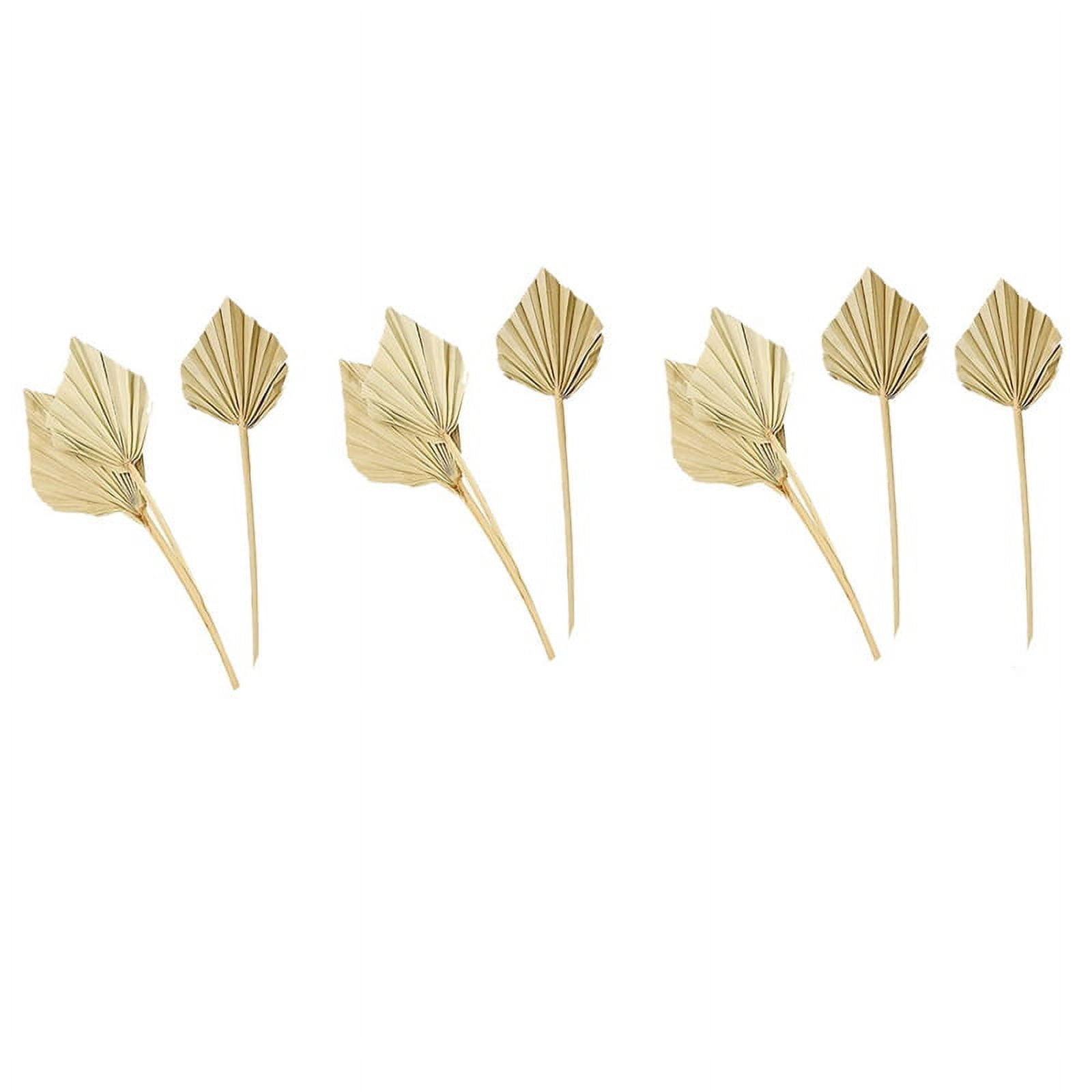10 Pcs Boho Dried Palm Spears Natural Dried Palm Fans Dried Palm Leaves ...